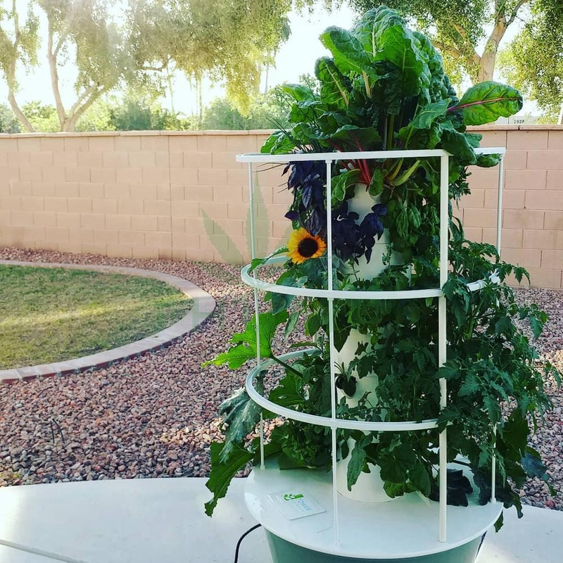 Best Aeroponic Growing Tower Garden System - Thump Supplier