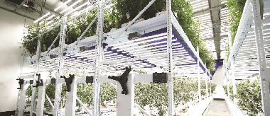 Thump-Mobile Grow Systems|Vertical Grow Rack Systems