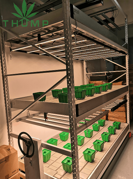 Hydroponic Mobile Grow Rack Systems for Sale - Thump Supplier